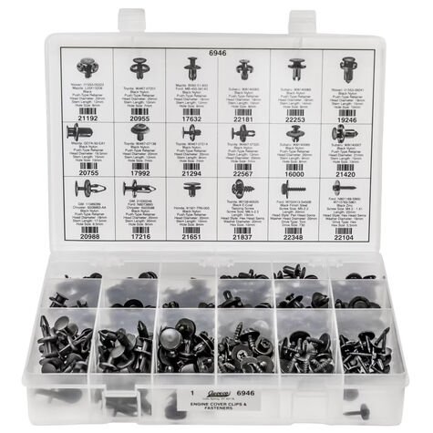 Auveco Engine Cover Clips & Fasteners Assortment - 18 Varieties - 250 Pieces - Trim Clip Assortments